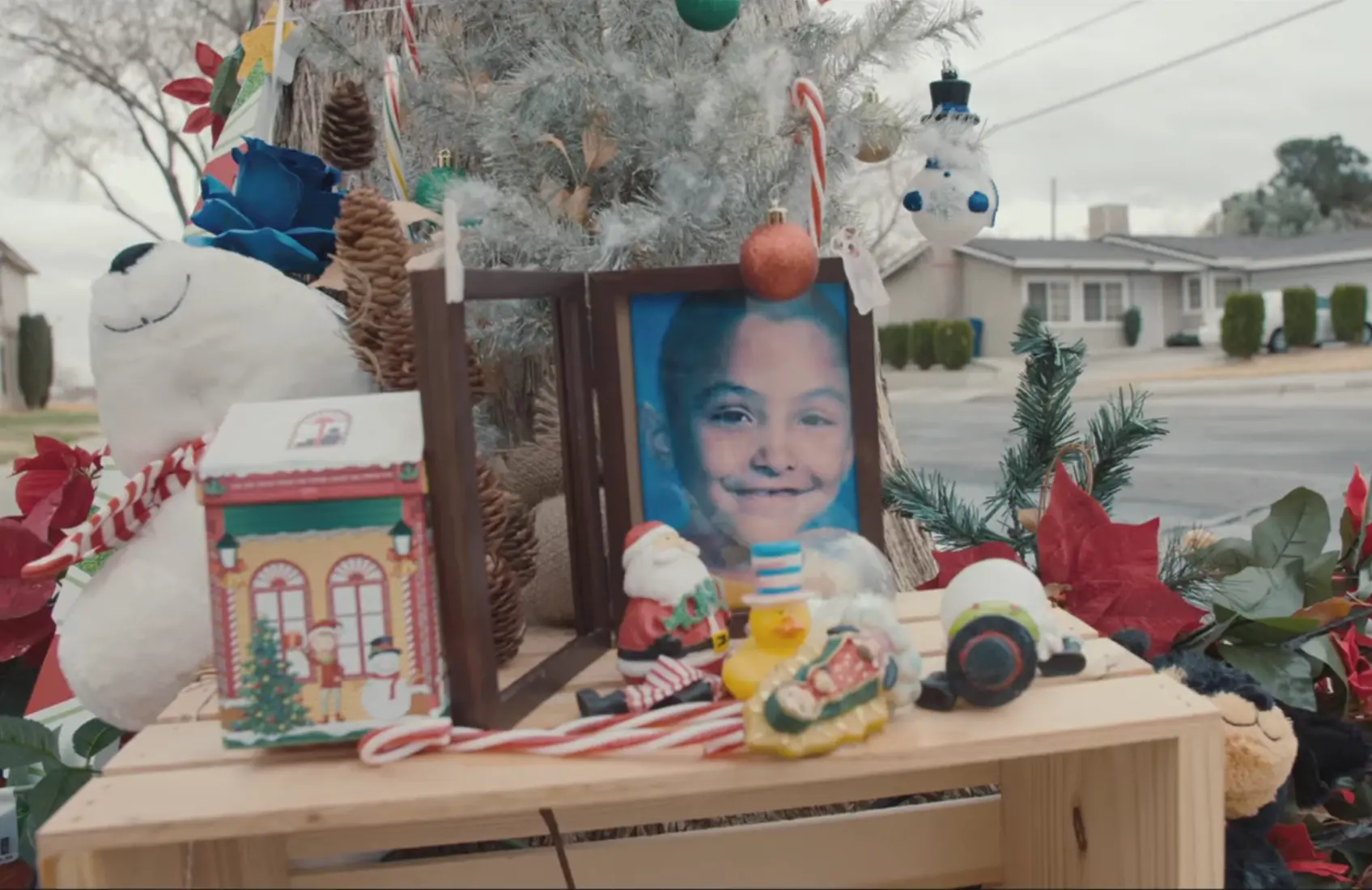 Enduring Netflix's The Trials Of Gabriel Fernandez - PRIMETIMER