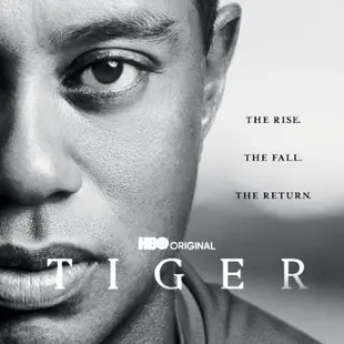 Tiger: Latest News, Analysis & Opinion - PRIMETIMER