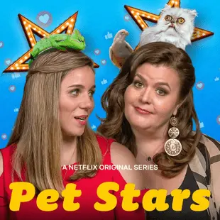 Pet Stars: Latest News, Analysis & Opinion - PRIMETIMER