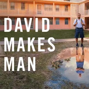 David Makes Man: Latest News, Analysis & Opinion - PRIMETIMER